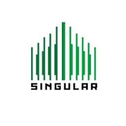 Singular - Crunchbase Company Profile & Funding