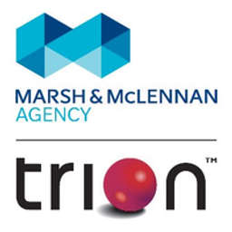 Trion Group - Crunchbase Company Profile & Funding