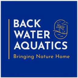 Backwater Aquatics - Crunchbase Company Profile & Funding