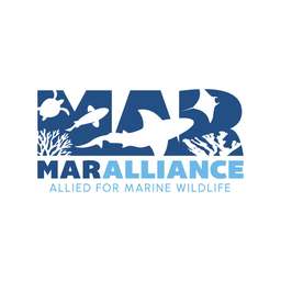 MarAlliance - Crunchbase Company Profile & Funding