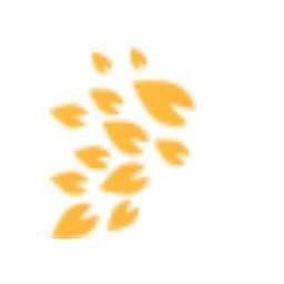 Shared Solutions and Consulting - Crunchbase Company Profile & Funding