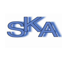 SKA Elevator Consulting Group - Crunchbase Company Profile & Funding