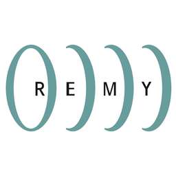 Remy International - Crunchbase Company Profile & Funding