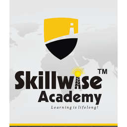 Skillwise Academy