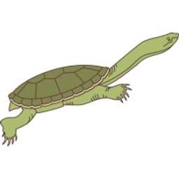 SERCUL - Crunchbase Company Profile & Funding