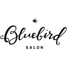 Bluebird Salon - Tech Details