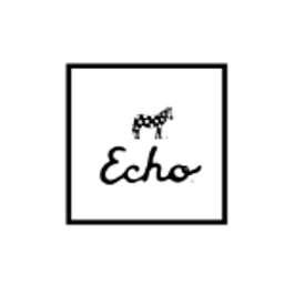 echo design logo