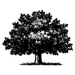 Mwaloni - Crunchbase Company Profile & Funding