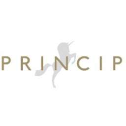 Princip - Tech Details