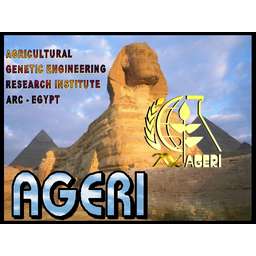 Ageri - Crunchbase Company Profile & Funding