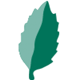 Mint Social - Crunchbase Company Profile & Funding