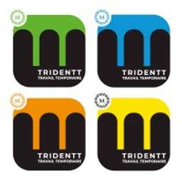 TridenTT Temporary Work - Crunchbase Company Profile & Funding