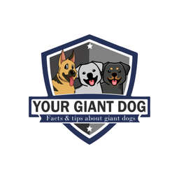 YourGiantDog - Crunchbase Company Profile & Funding