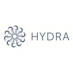 Hydra Strategy - Crunchbase Company Profile & Funding