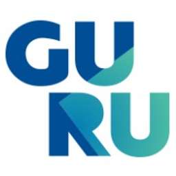 Guru - Crunchbase Company Profile & Funding