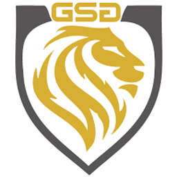GSG-Security - Crunchbase Company Profile & Funding