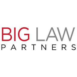 Big Law Partners