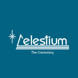 Celestium - Crunchbase Company Profile & Funding