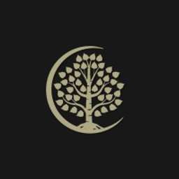 Birch Faraday Capital