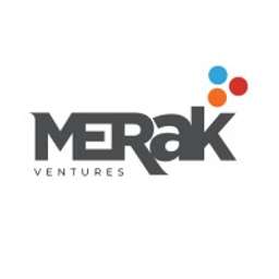 Merak Ventures - Financial Details