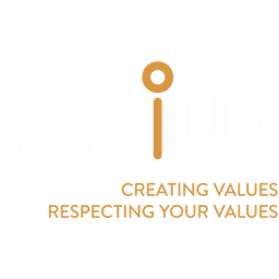 Valiuz - Crunchbase Company Profile & Funding