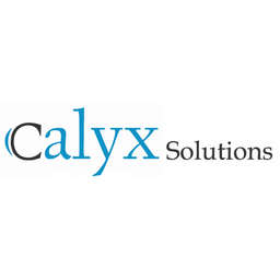 Calyx Solutions - Crunchbase Company Profile & Funding