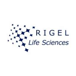 Rigel Leading Solutions - Crunchbase Company Profile & Funding
