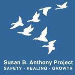 Susan B. Anthony Project - Tech Details