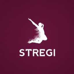 STREGI - Crunchbase Company Profile & Funding