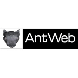 Antweb - Crunchbase Company Profile & Funding