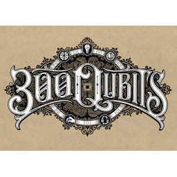 300 Qubits - Crunchbase Company Profile & Funding