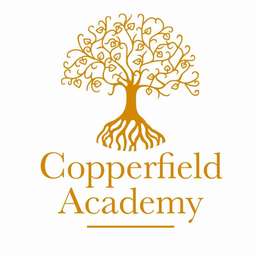 Copperfield Academy - Crunchbase Company Profile & Funding
