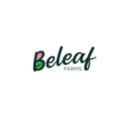 Beleaf - News & Analysis