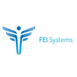 FEI Systems - News & Analysis