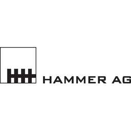 Hammer Real - News & Analysis