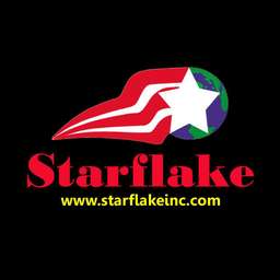 Starflake - Crunchbase Company Profile & Funding