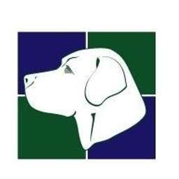 Carter-MGM Insurance Agency - Crunchbase Company Profile & Funding