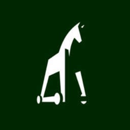 Young by Matt Switzerland