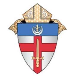 Diocese of Covington - News & Analysis