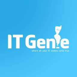 IT Genie - Tech Details