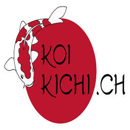 koikichi.ch - Tech Details