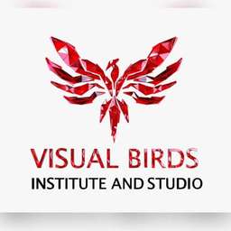 Visual Birds Studio - Crunchbase Company Profile & Funding