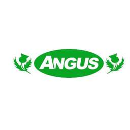 Angus - Crunchbase Company Profile & Funding