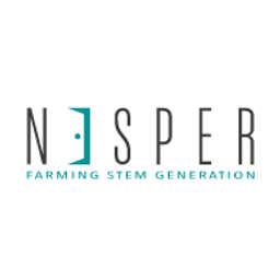 Nesper