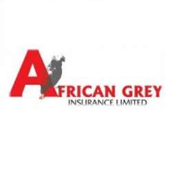 African Grey Insurance - Tech Details