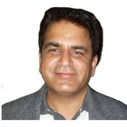 Dinesh (Din) Khanna - Founder, CEO & Vice President @ avendum ...