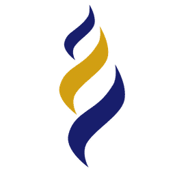 MNK Consulting Services