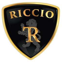 Riccio Real Estate Team - Crunchbase Company Profile & Funding