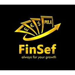 FinSef