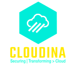 CLOUDINA - Crunchbase Company Profile & Funding